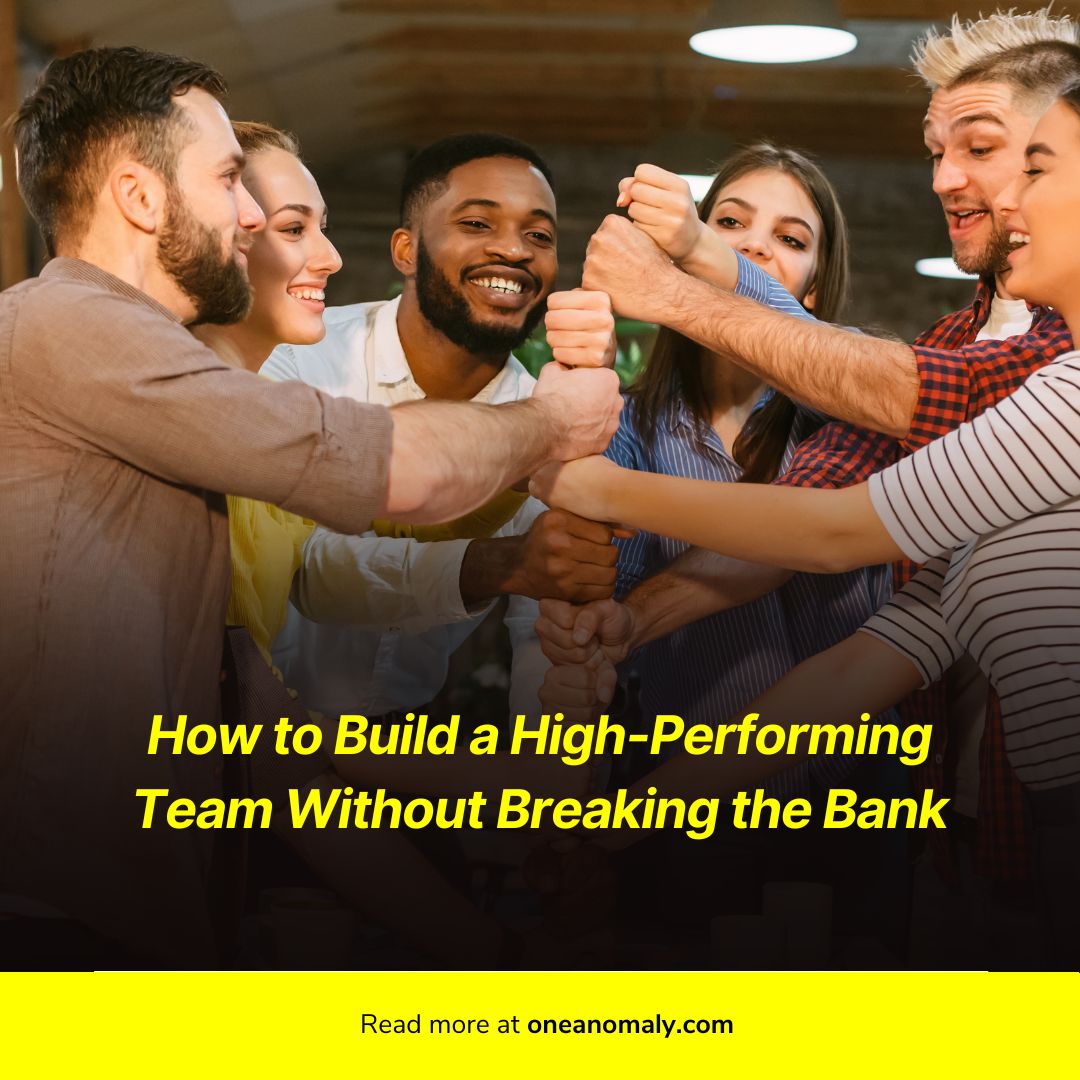 How to Build a High-Performing Team Without Breaking the Bank – OneAnomaly